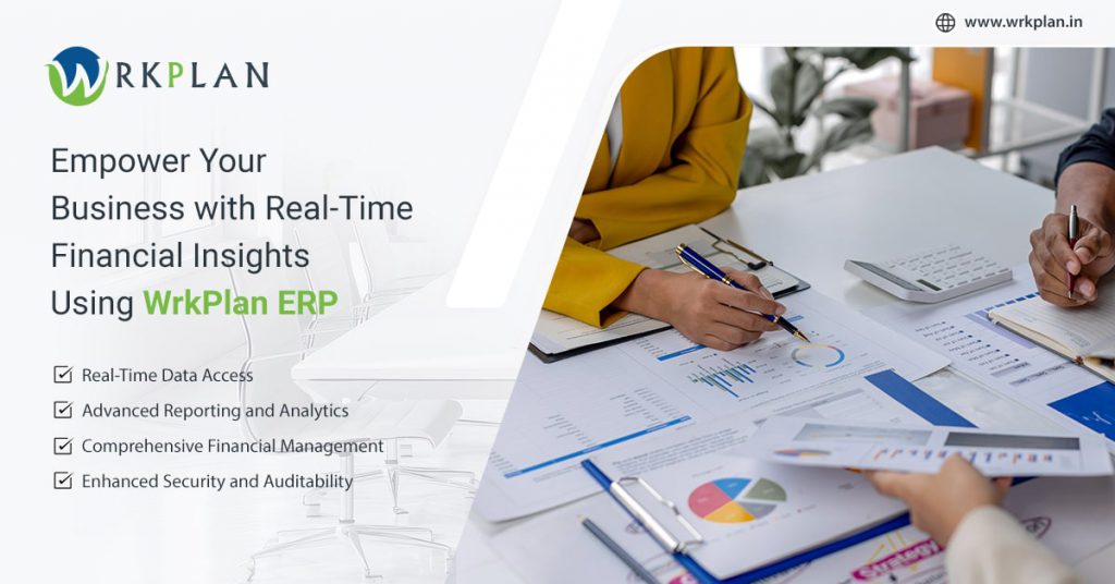 Real-Time Financial Insights with WrkPlan ERP